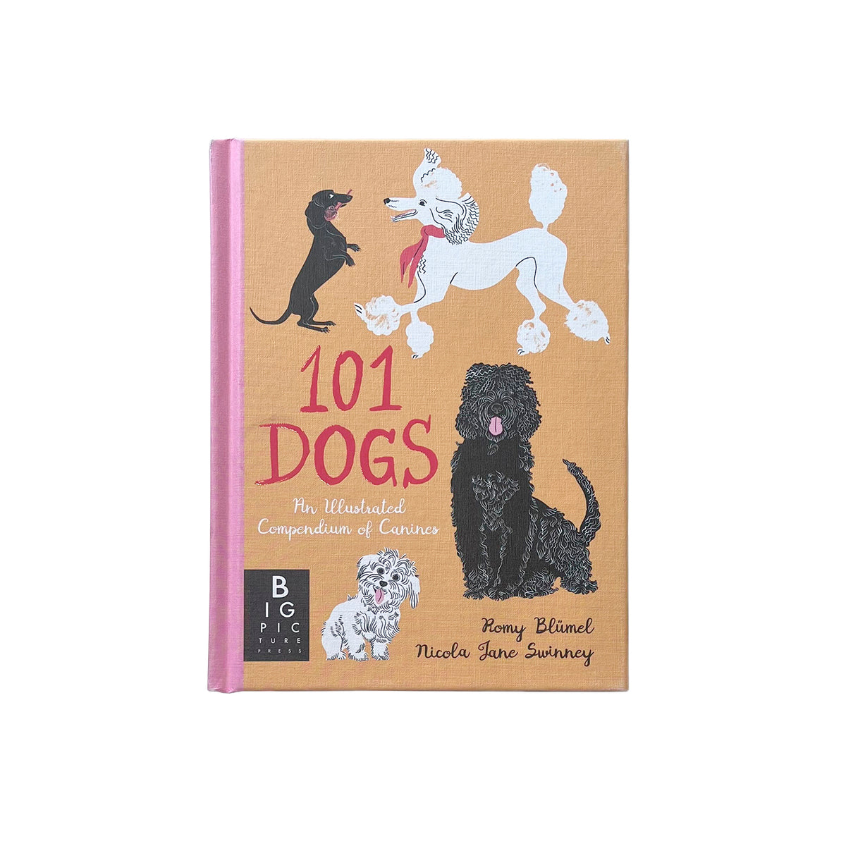101 Dogs Book by Nicola Swinney & Romy Blümel | Mungo & Maud