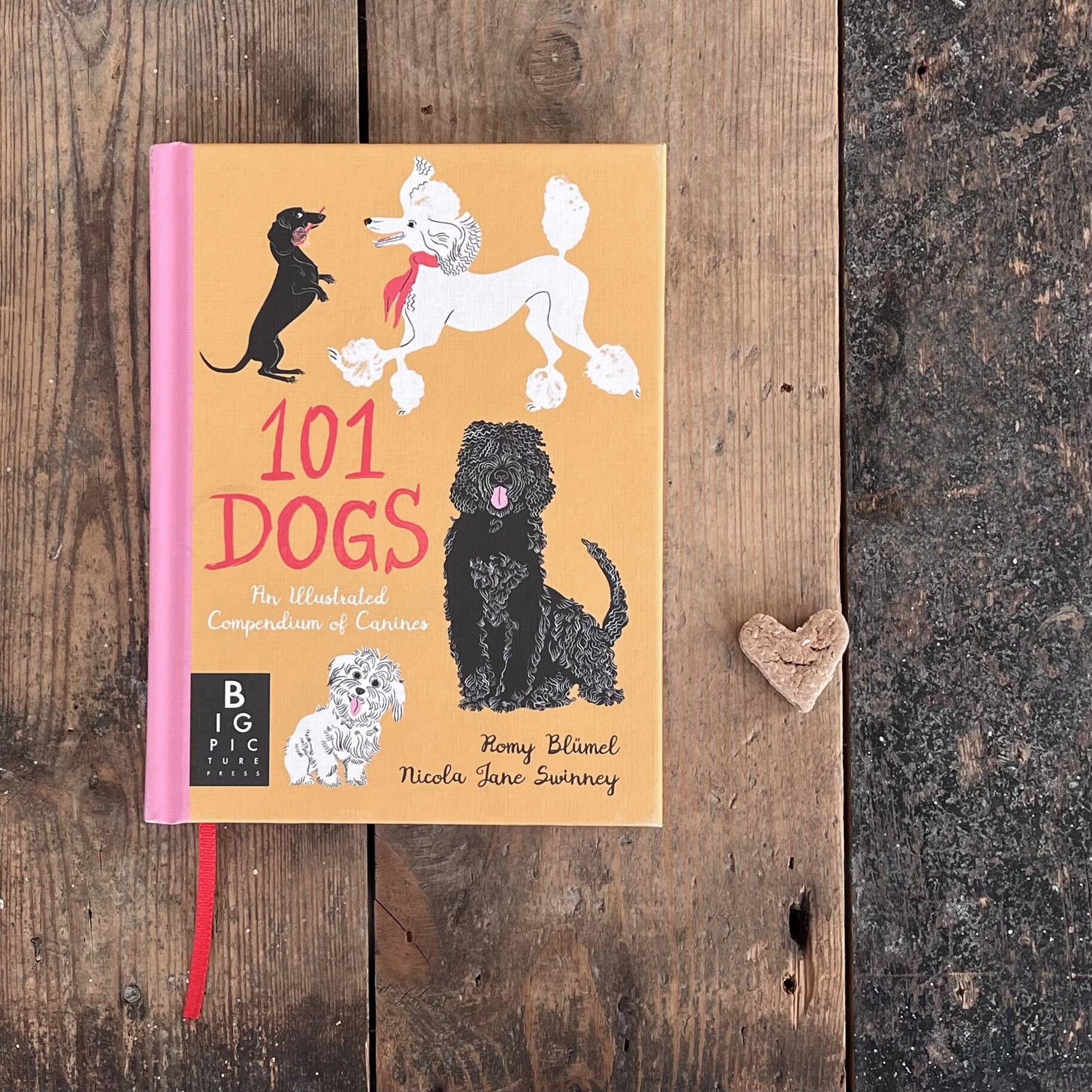 101 Dogs Book by Nicola Swinney & Romy Blümel | Mungo & Maud