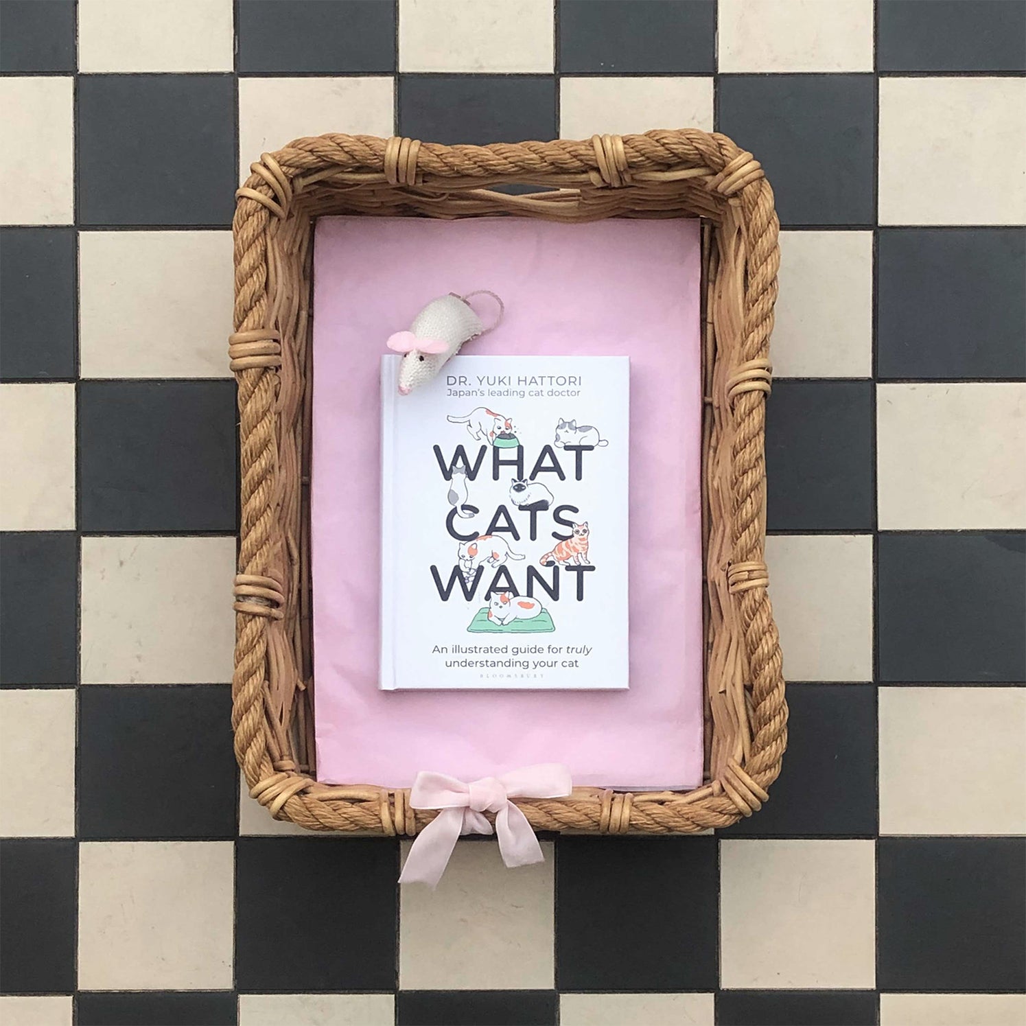 What Cats Want Book by Dr Yuki Hattori | Mungo & Maud