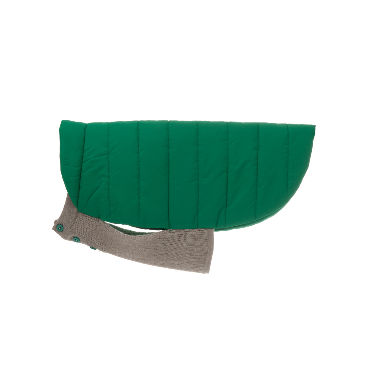 Beetle Dog Coat Grass | Mungo & Maud