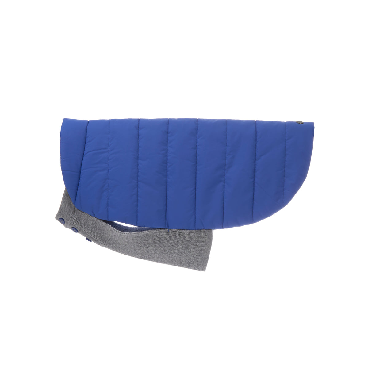 Beetle Dog Coat Cobalt | Mungo & Maud