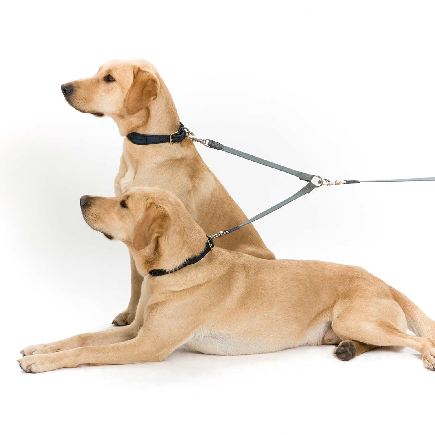 Dual Dog Leads | Mungo & Maud